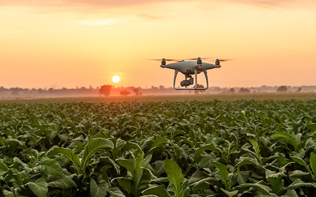 What is CAT-1? Application in IoT and M2M | Wireless Logic